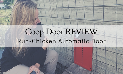 REVIEW: Automatic Chicken Coop Door | RUN-CHICKEN – The Farmers Cupboard