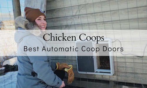 6 BEST + RELIABLE Automatic Chicken Coop Doors | 2025 – The Farmers ...