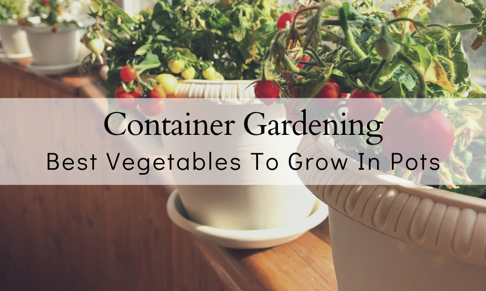 13 Best Vegetables To Grow In Pots – The Farmers Cupboard