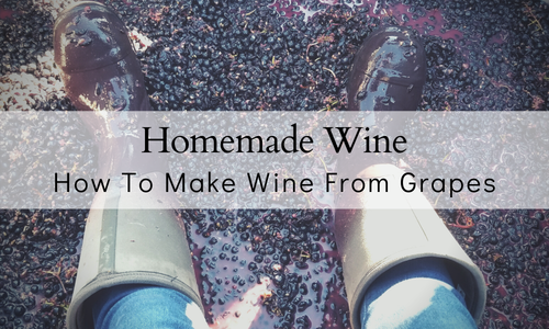 How To Make Homemade Wine With Grapes – The Farmers Cupboard