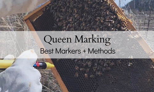Queen Bee COLORS | SAFE + VISIBLE Markers for 2025 – The Farmers Cupboard
