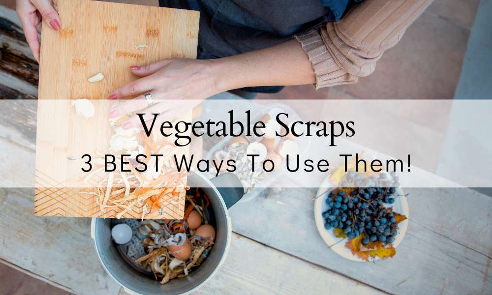 What To Do With Vegetable Scraps – The Farmers Cupboard